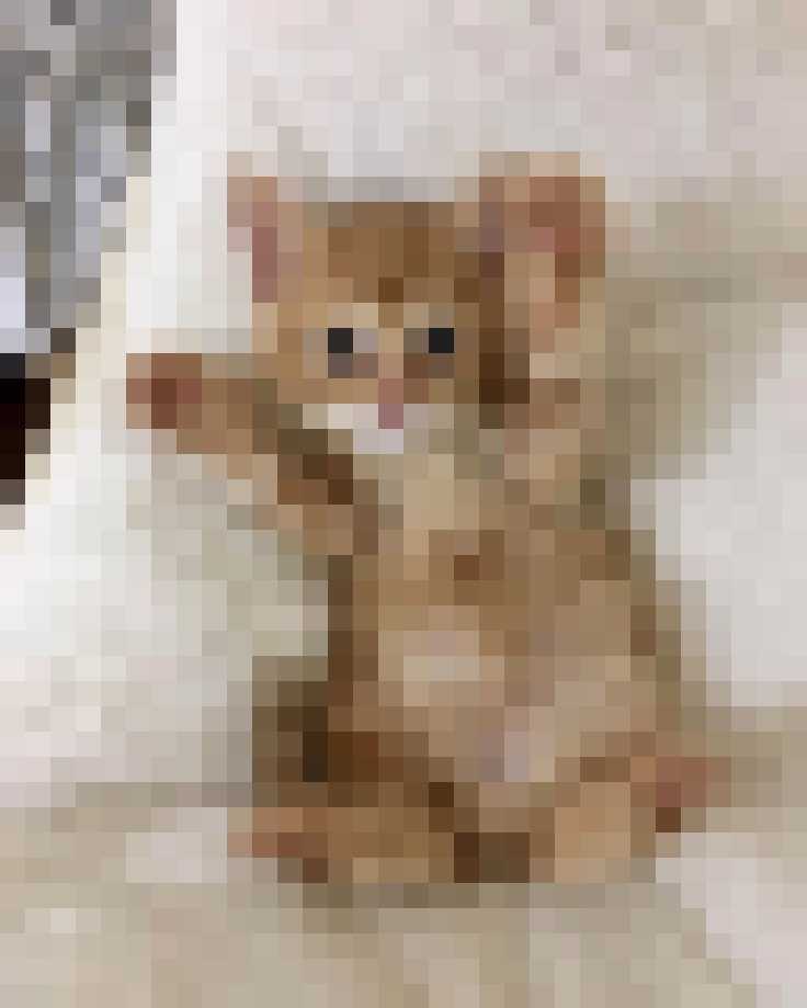 Free Image Pixelator Online